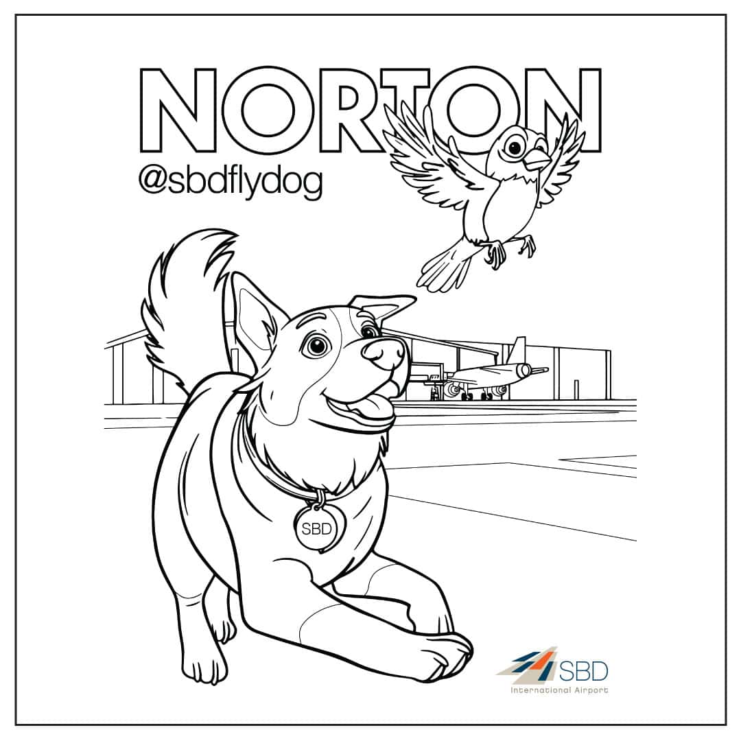 Instagram Links - San Bernardino International Airport (SBD)